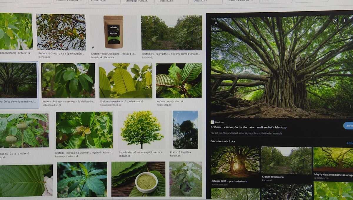 Na Slovensku sa šíri nová droga. Účinky má podobné ópiu, heroínu či ...