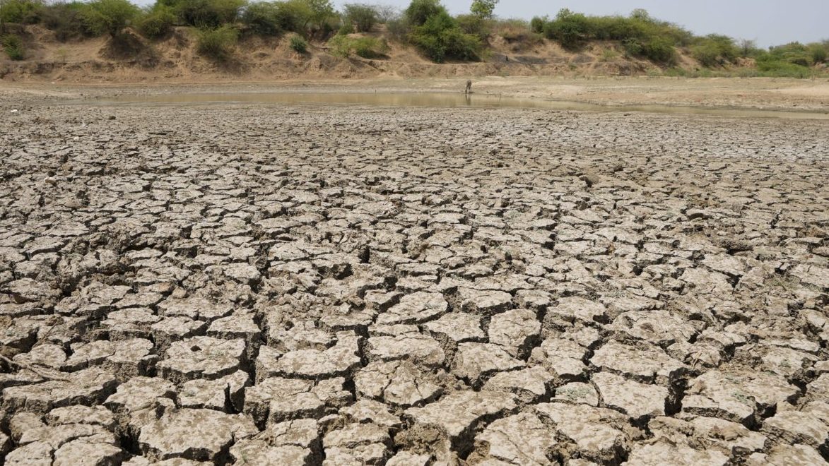 Indiu trápia horúčavy, vyčerpané vtáky padajú na zem - Správy STVR