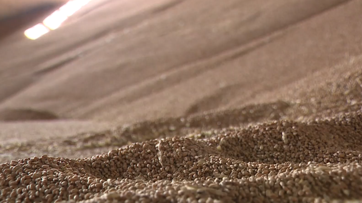 Platnosť čiernomorskej obilnej dohody vypršala - Správy STVR