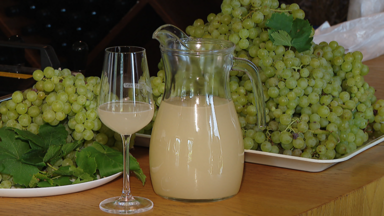 Vinári predávajú prvé burčiaky - Správy STVR