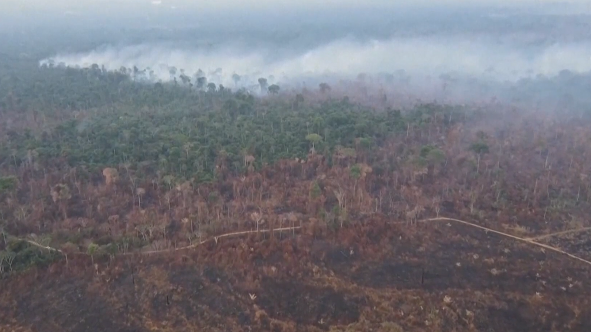 Pľúca Zeme sú v ohrození - Správy STVR