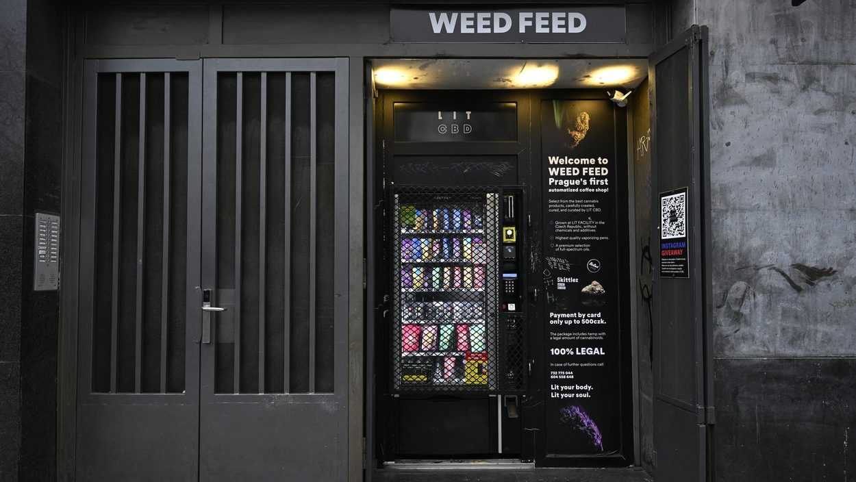 Česko HHC dočasne zaradí na zoznam návykových látok - Správy STVR