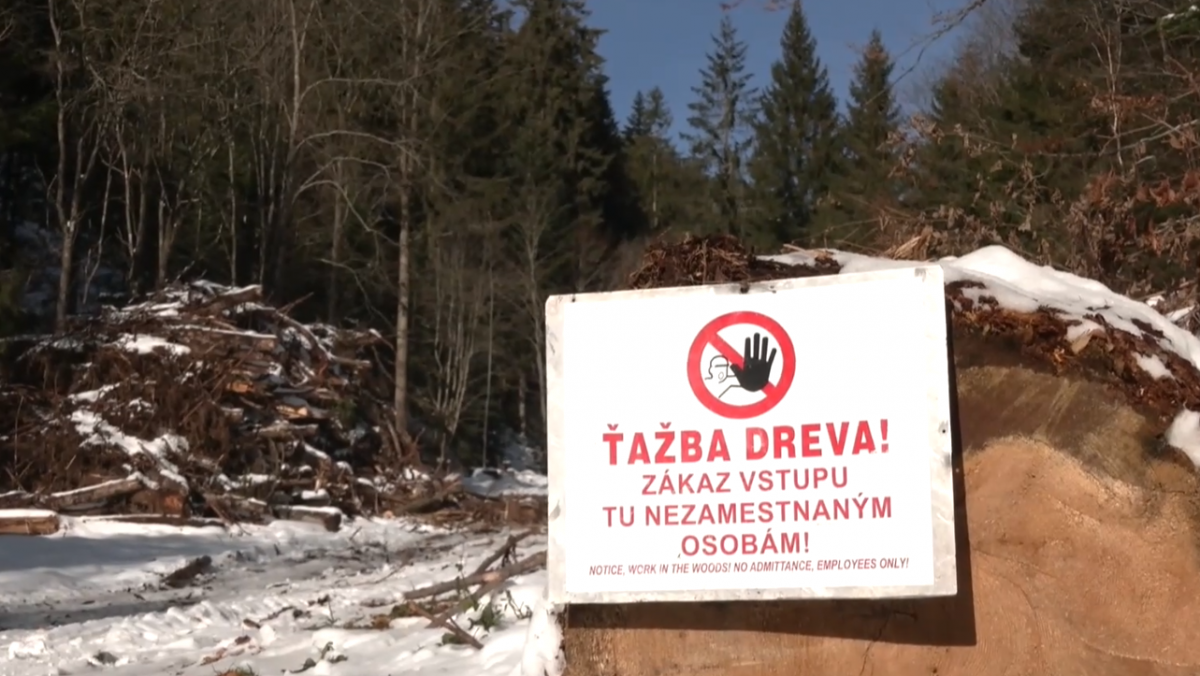 V Národnom parku Nízke Tatry prebieha ťažba v ochrannom pásme - Správy STVR
